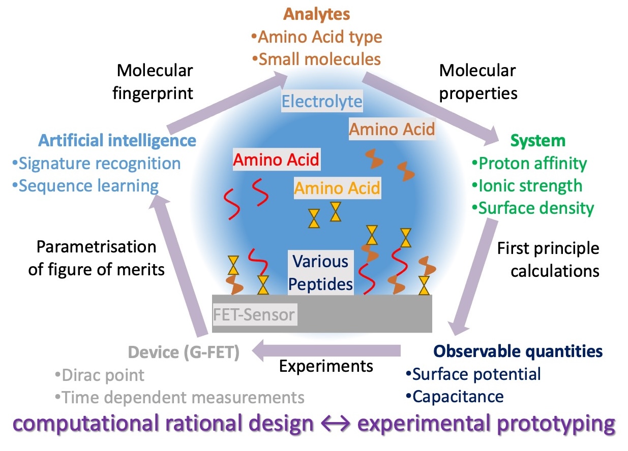 Biosensors modeling and simulations: a new way to discover drugs ...